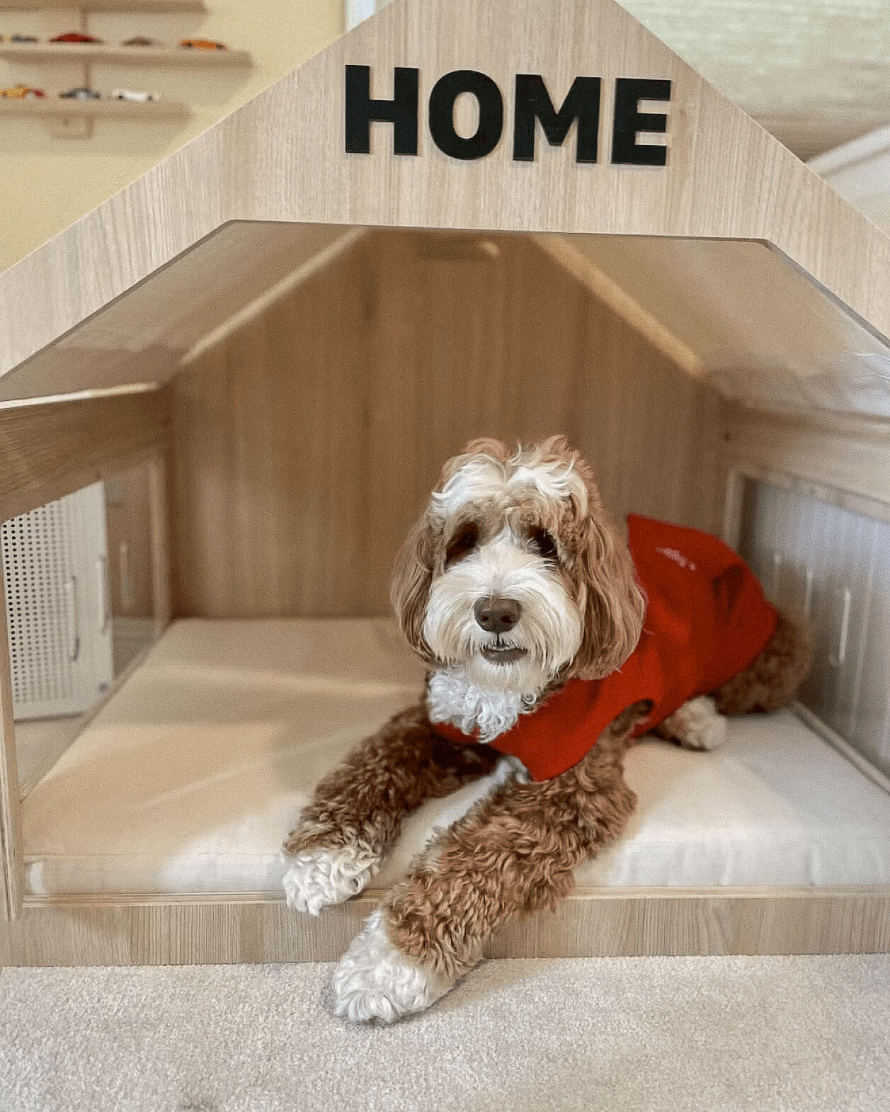 Wooffy Modern Dog House